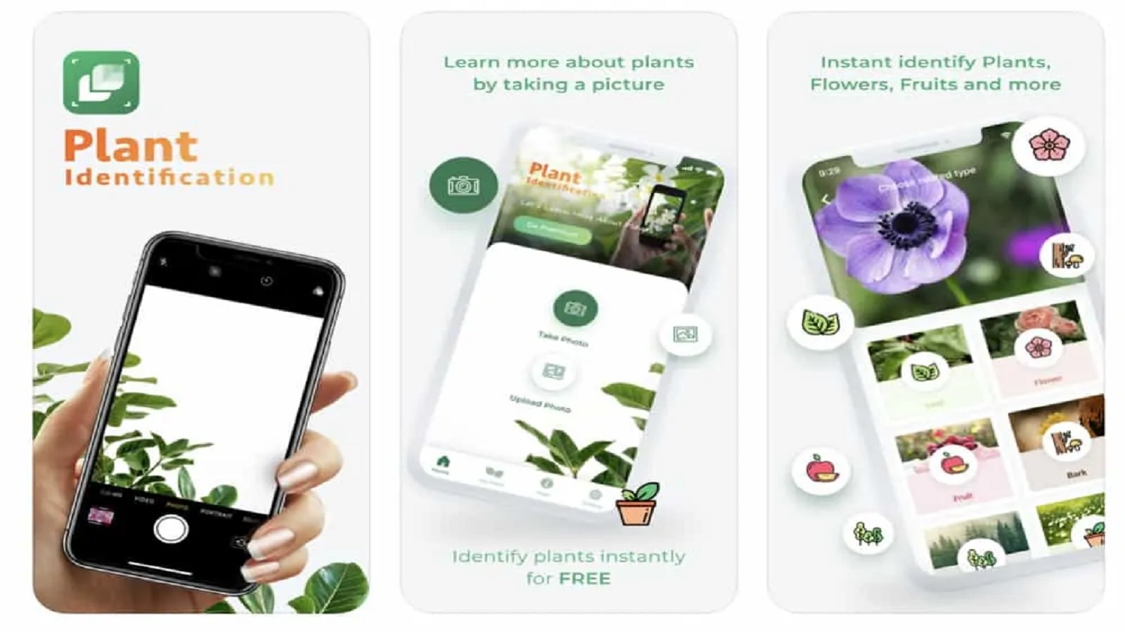 10 Melhores Apps para Identificar Plantas pelo Celular | Zap Dicas
