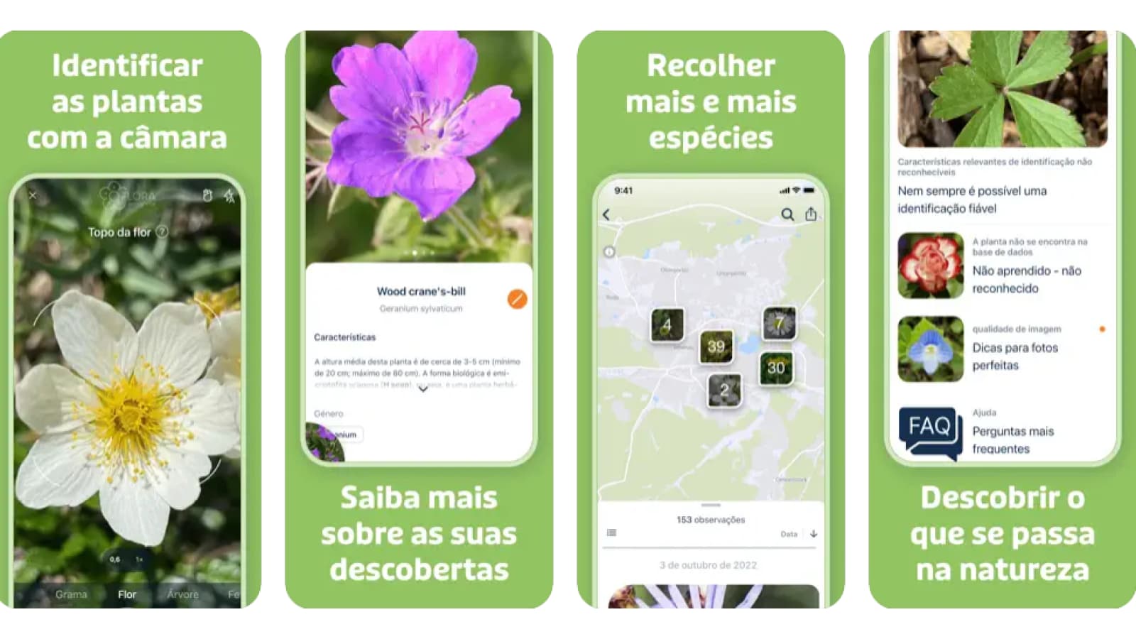 10 Melhores Apps para Identificar Plantas pelo Celular | Zap Dicas